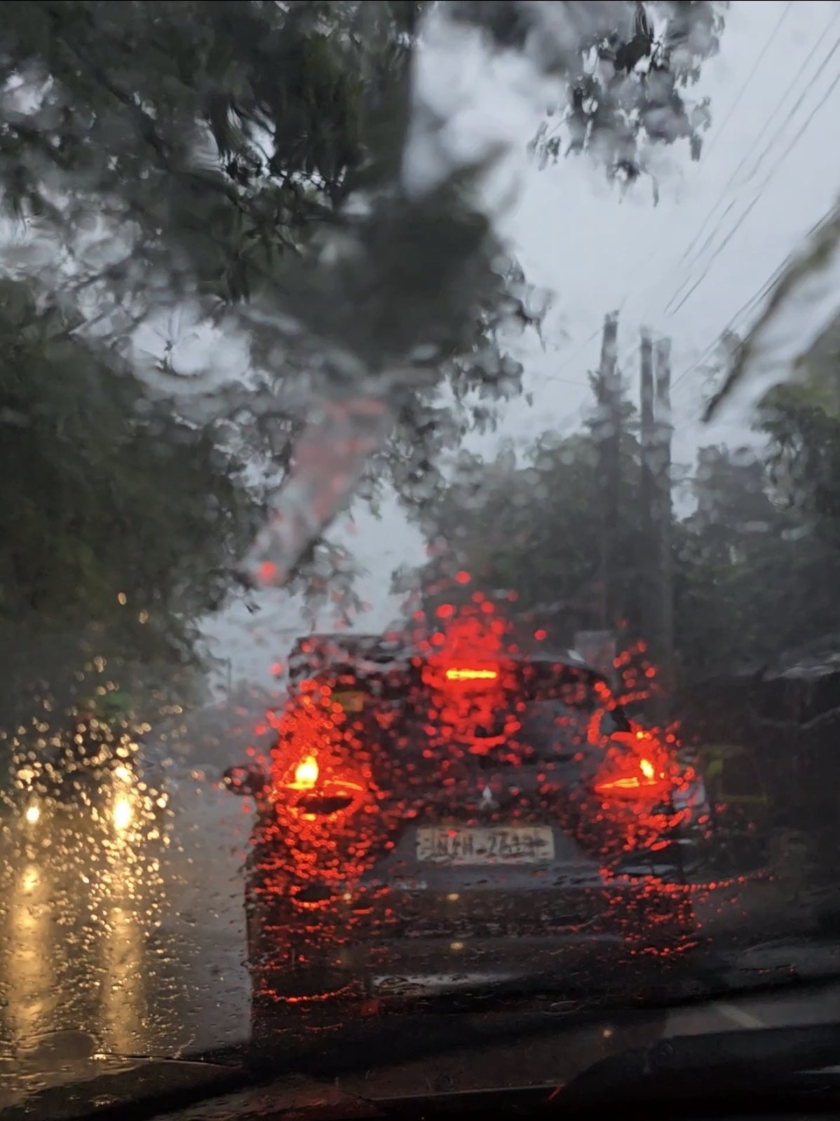 Shield Your Car Before the Storm: The Crucial Role of a Car Cover This ...